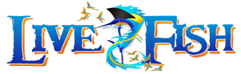 Live2.Fish | BEST FISHING CHARTERS IN THE BAHAMAS